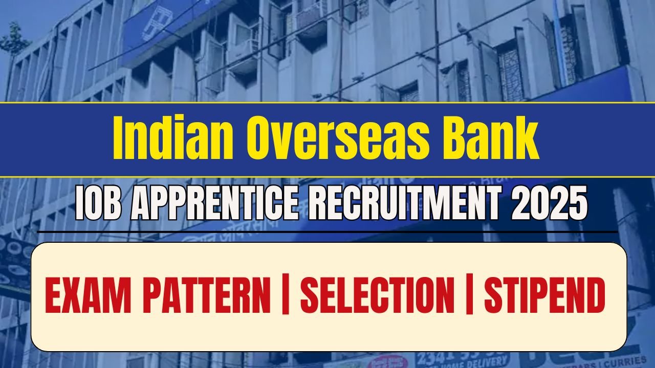 IOB Apprentice Recruitment 2025 - Best Vacancy Apply Online - Study For Dreams